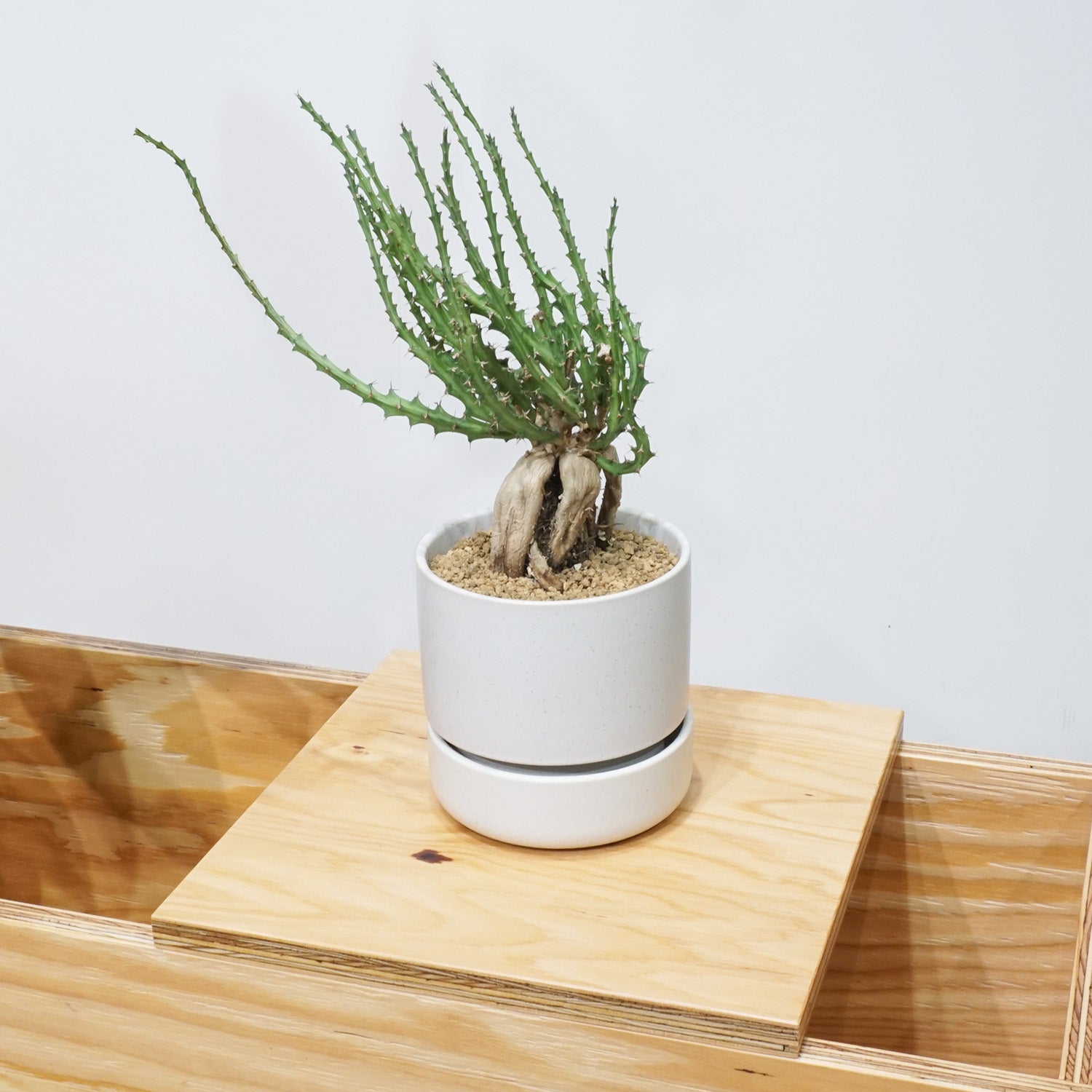 プランタースタンド ｜おしゃれな什器の企画・製造・販売 SHOP COPACK